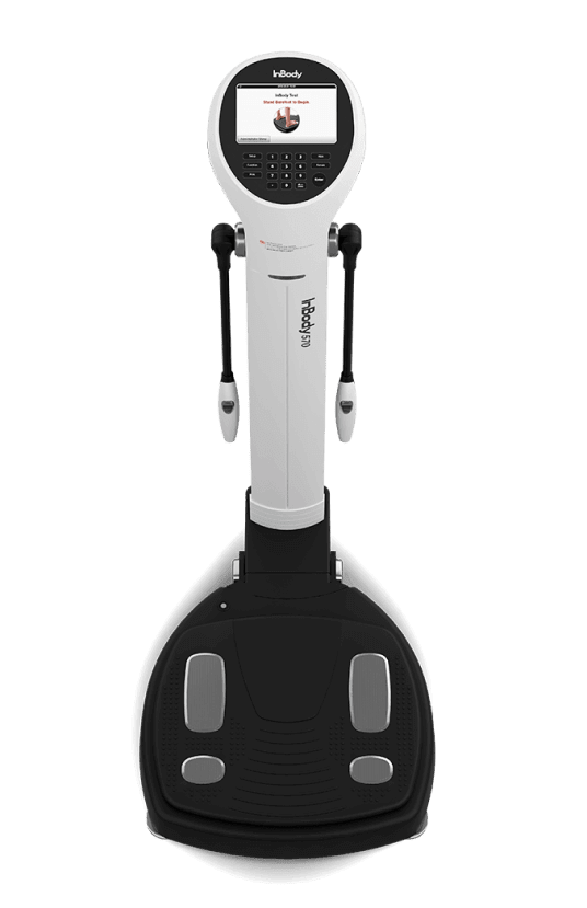 body composition analysis scale