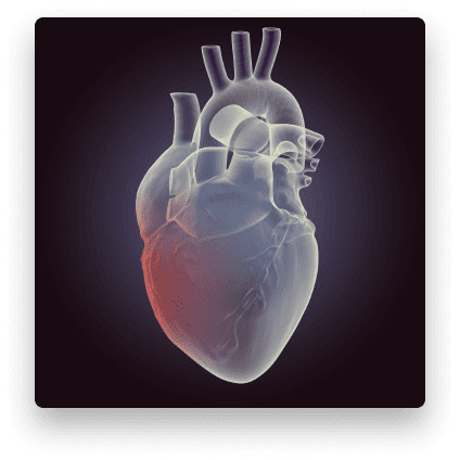 what is the heart and lung act